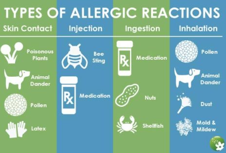 Allergy-Reactions-Chart-from-Premier-Allergy - PeggySchirmer.com